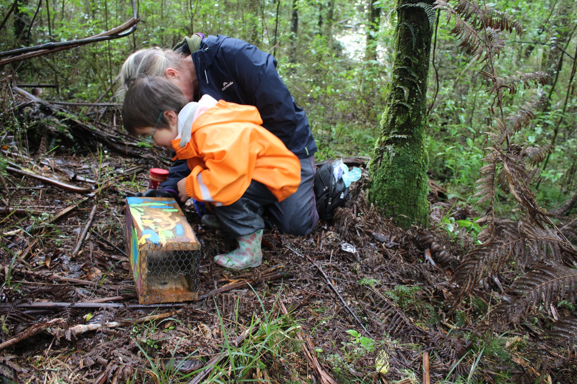 Learn more and take part in these events! - Predator Free Whangarei